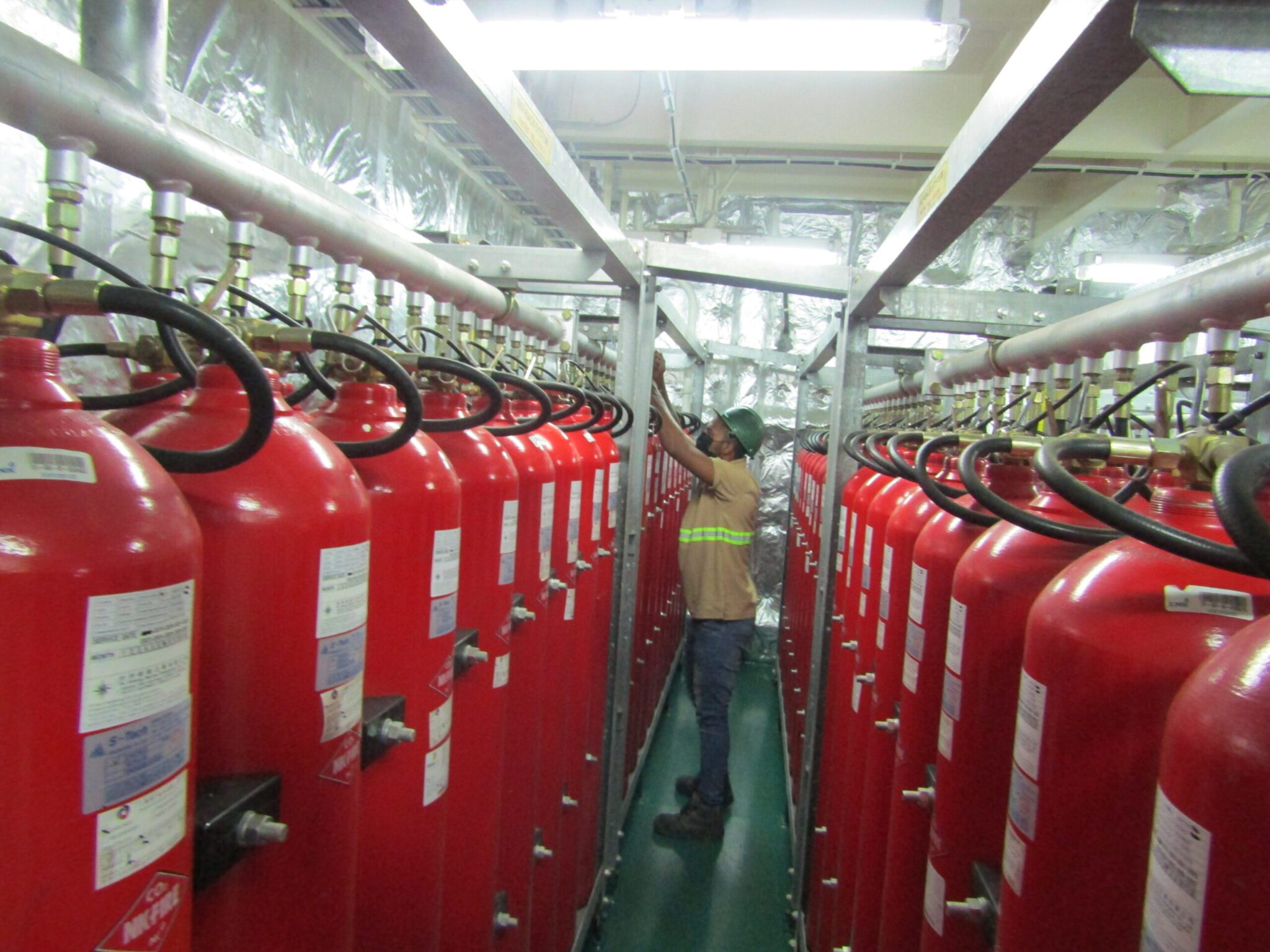 Maintenance of fixed carbon dioxide systems - SEMINSA